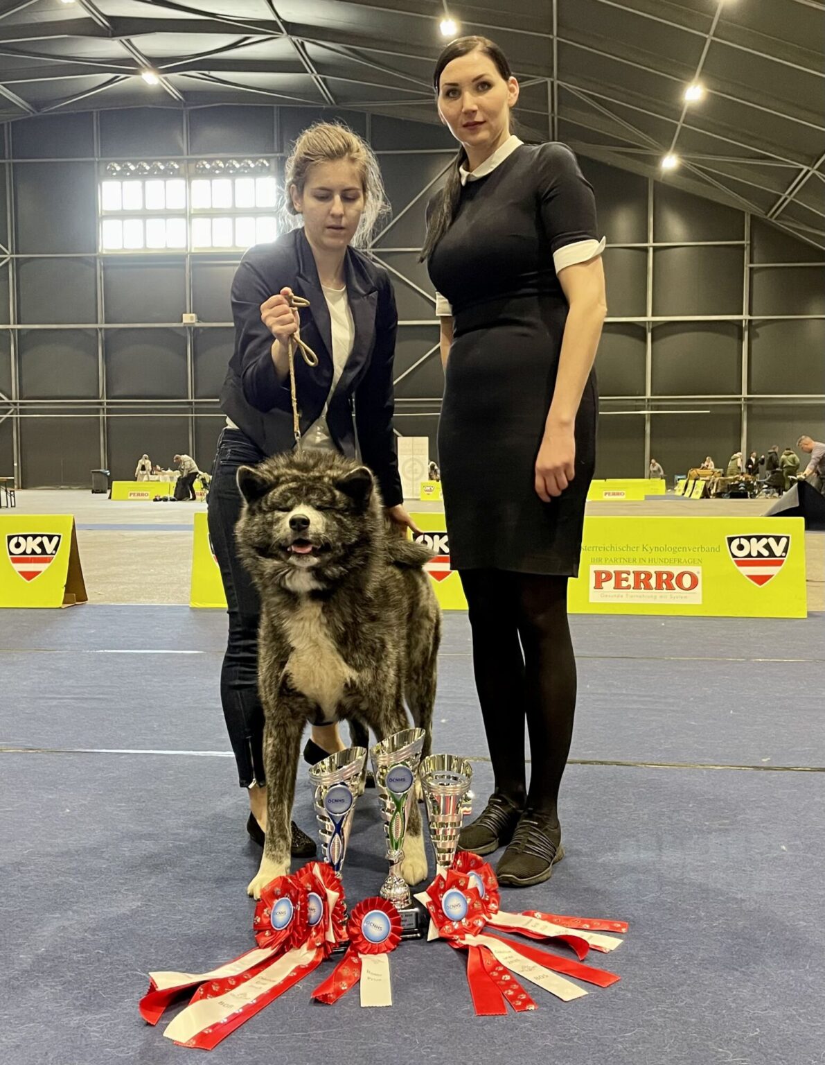 NEWS - Japanese Akita kennel & breeder - Ken'Ichi Ai