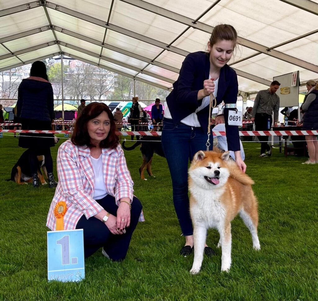 NEWS - Japanese Akita kennel & breeder - Ken'Ichi Ai